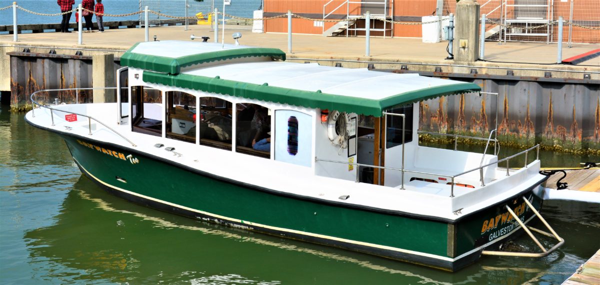 Baywatch Too – Life Enrichment of Houston (LEOH)